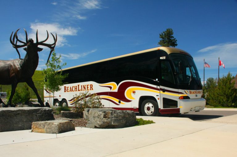 Equipment | Beach Transportation